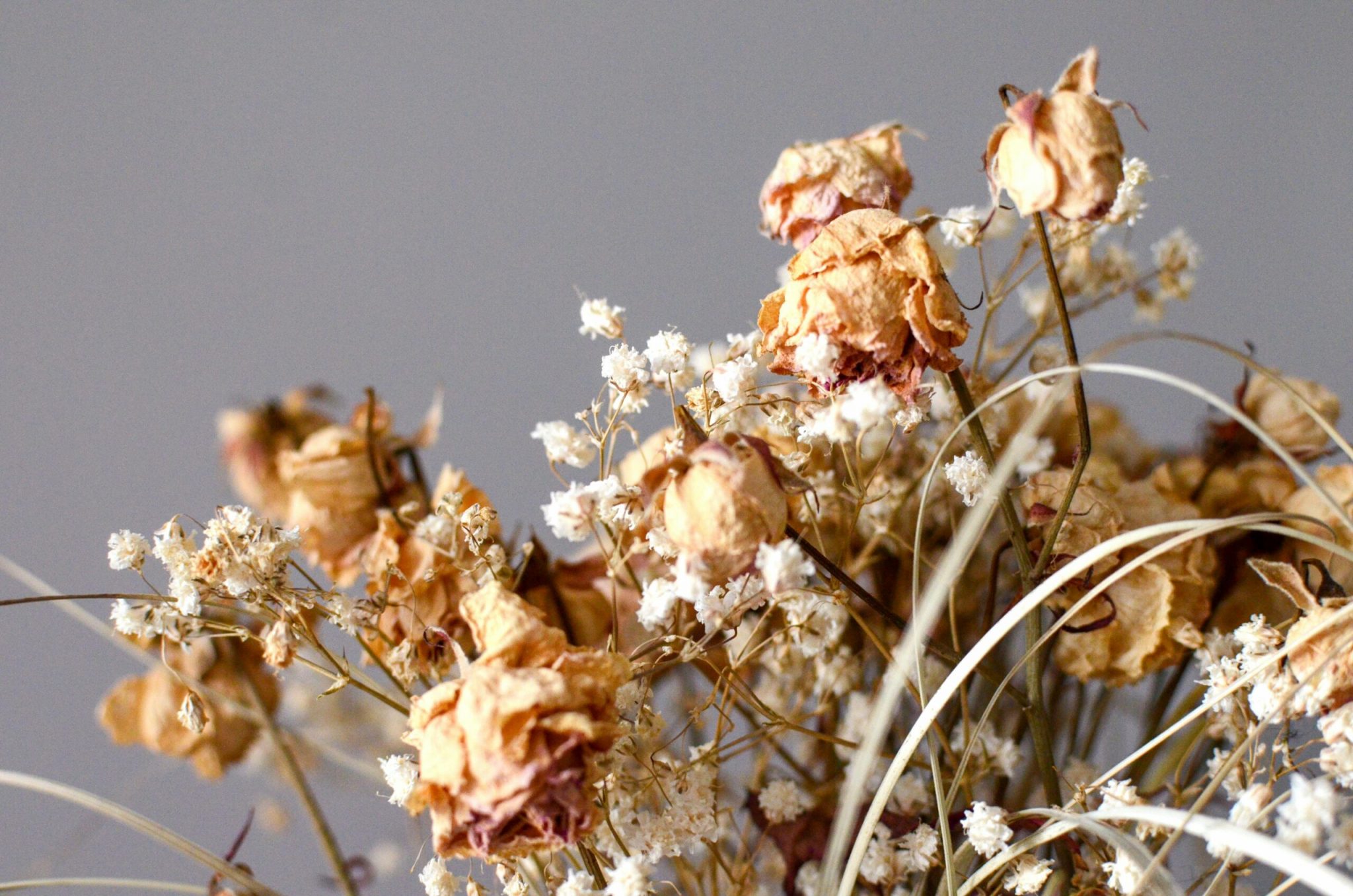 Dried flower Wreaths with Keri Fitzpatrick - Pitfield Barn